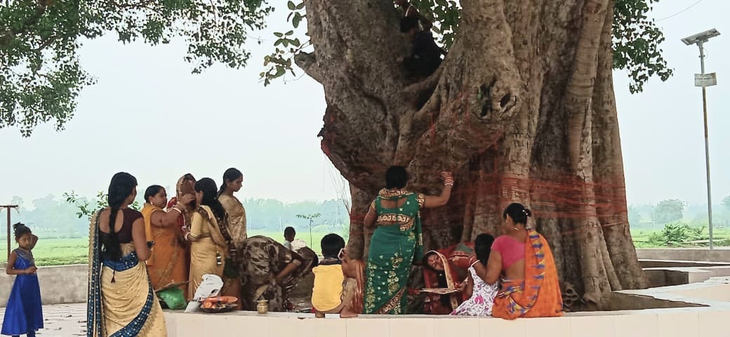 Story of Savitri Satyavan